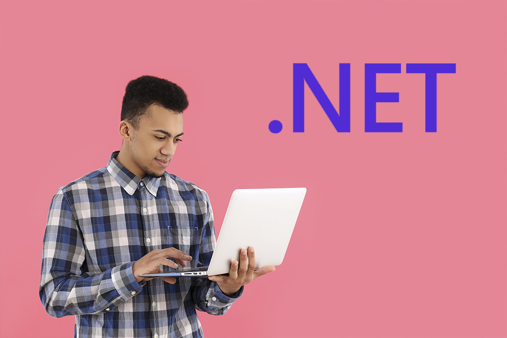 Programadores .NET, Developers y talentos más solicitados